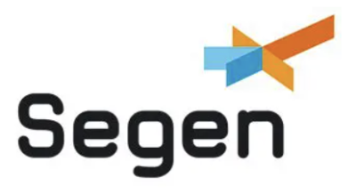 Segen Adds ReneSola Solar PV Panels to UK Product Portfolio