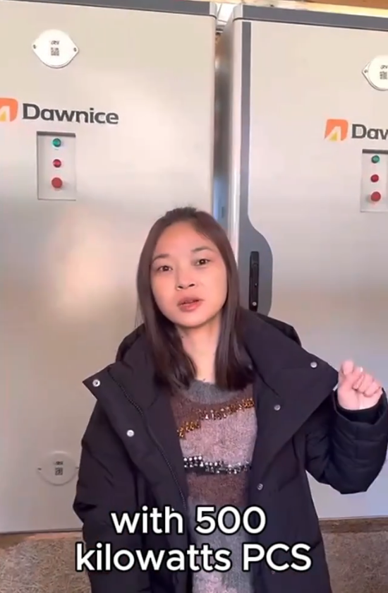 Dawnice Successfully Partners with Austrian Client to Power a Dinosaur ...